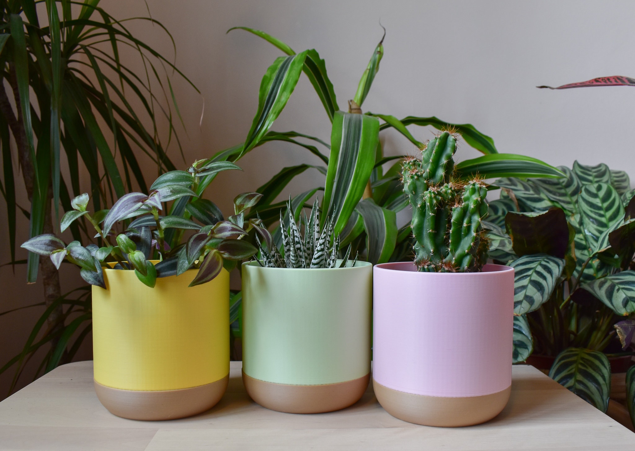 Pastel Coloured Classic Pot/ Planter With Drainage Removable - Etsy UK