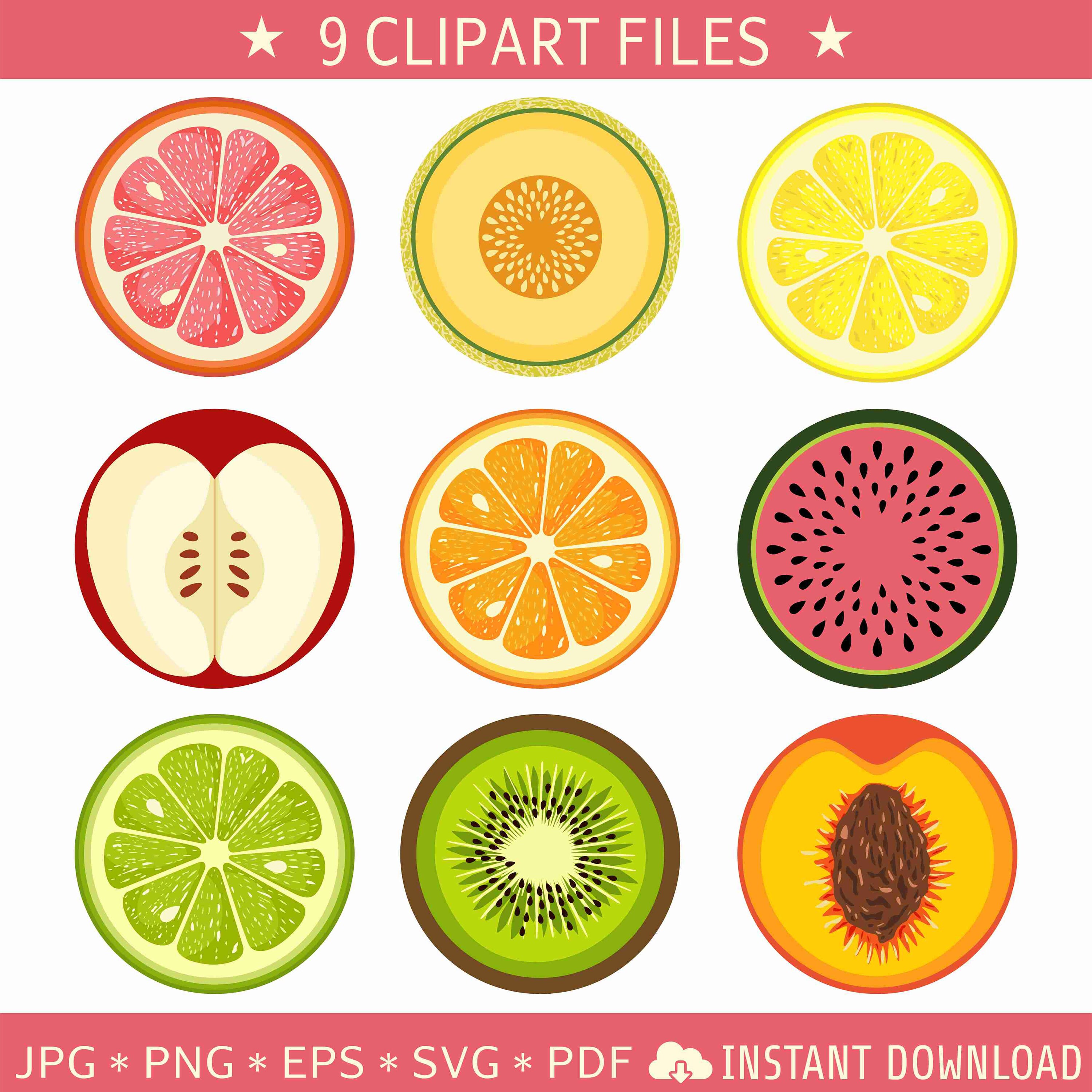 Round Fruit Slices Vector Clipart Set Instant Digital Download Digital ...