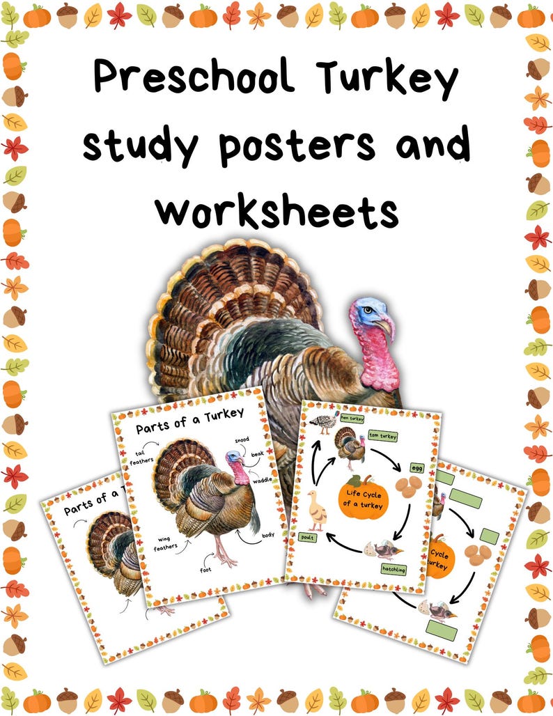 Turkey Study Posters and Worksheet - Etsy