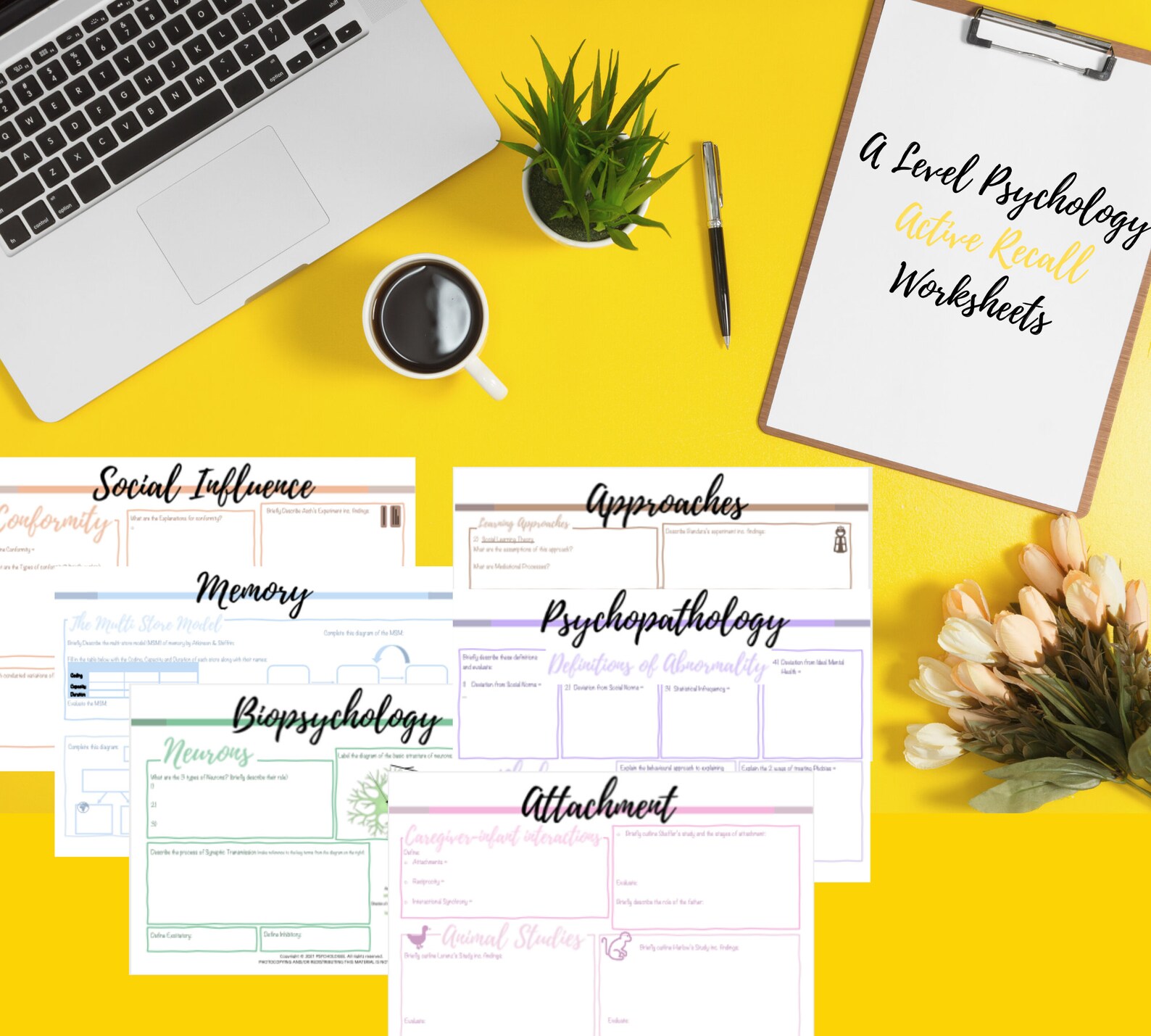 Ultimate Psychology A Level Revision Bundle AQA A Level | Etsy UK