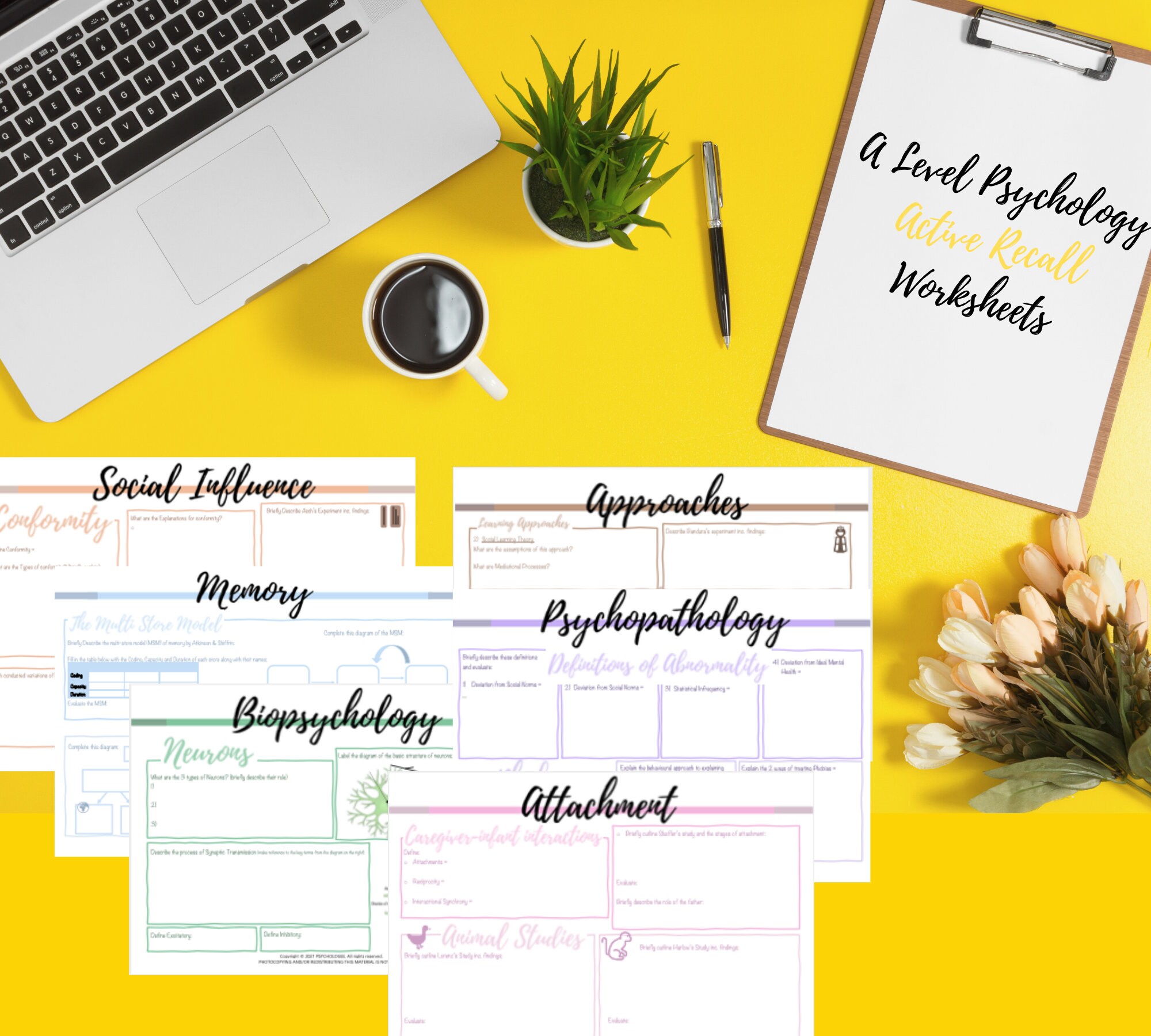 Ultimate Psychology A Level Revision Bundle AQA A Level Clear Concise ...