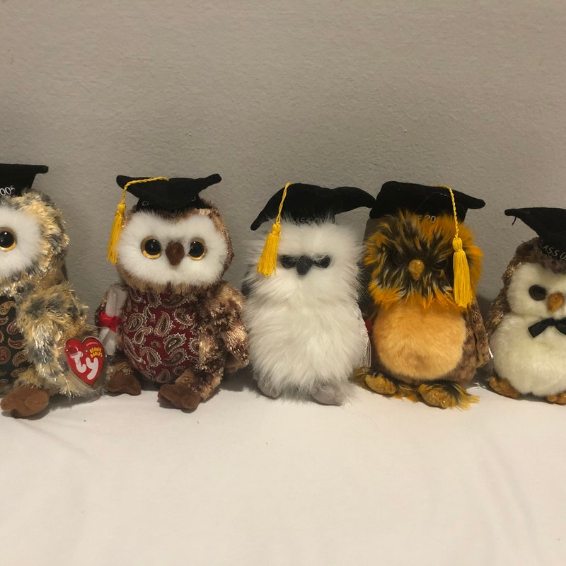 Graduation Owls - Etsy