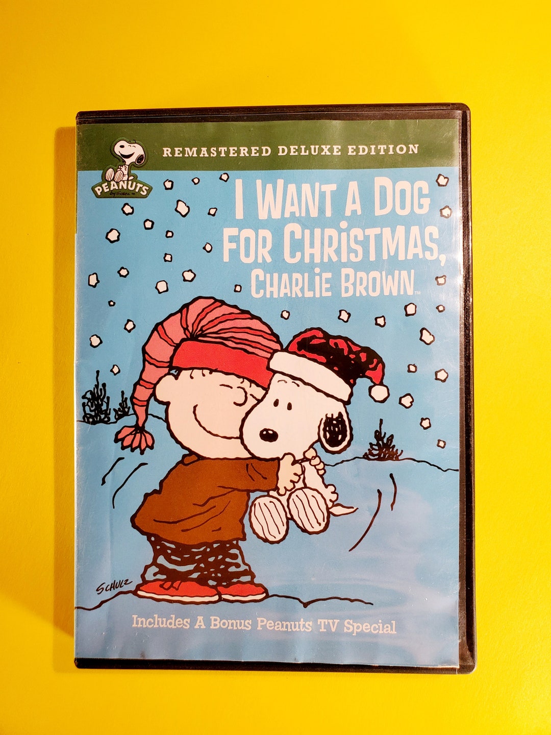VGT 2000 DVD Peanuts Classic 'the Great Pumpkin Charlie Brown ...