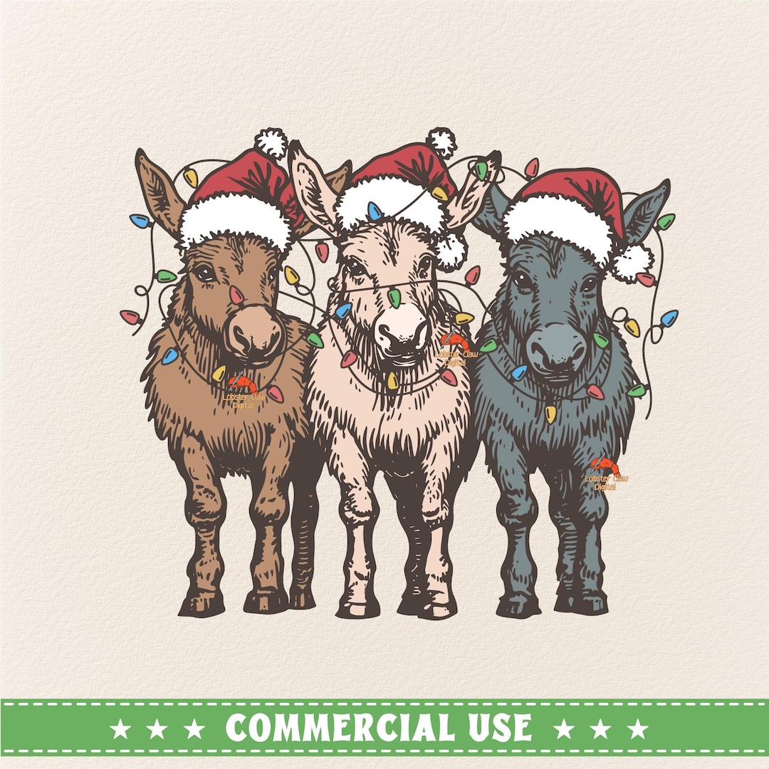 Christmas Donkey Png, Donkey Christmas Lights Santa Hat, Christmas Kids ...