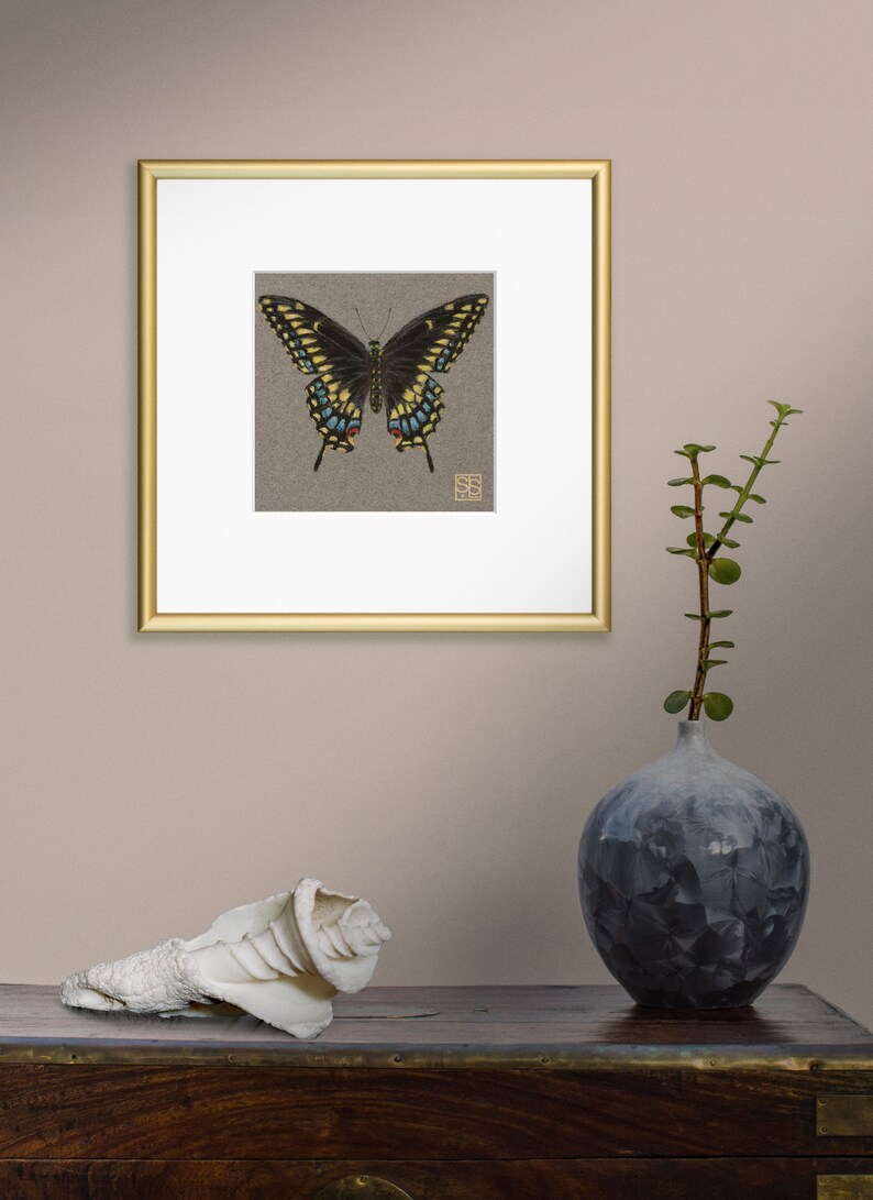 Black Swallowtail Butterfly Art Mother's Day Gift | Etsy