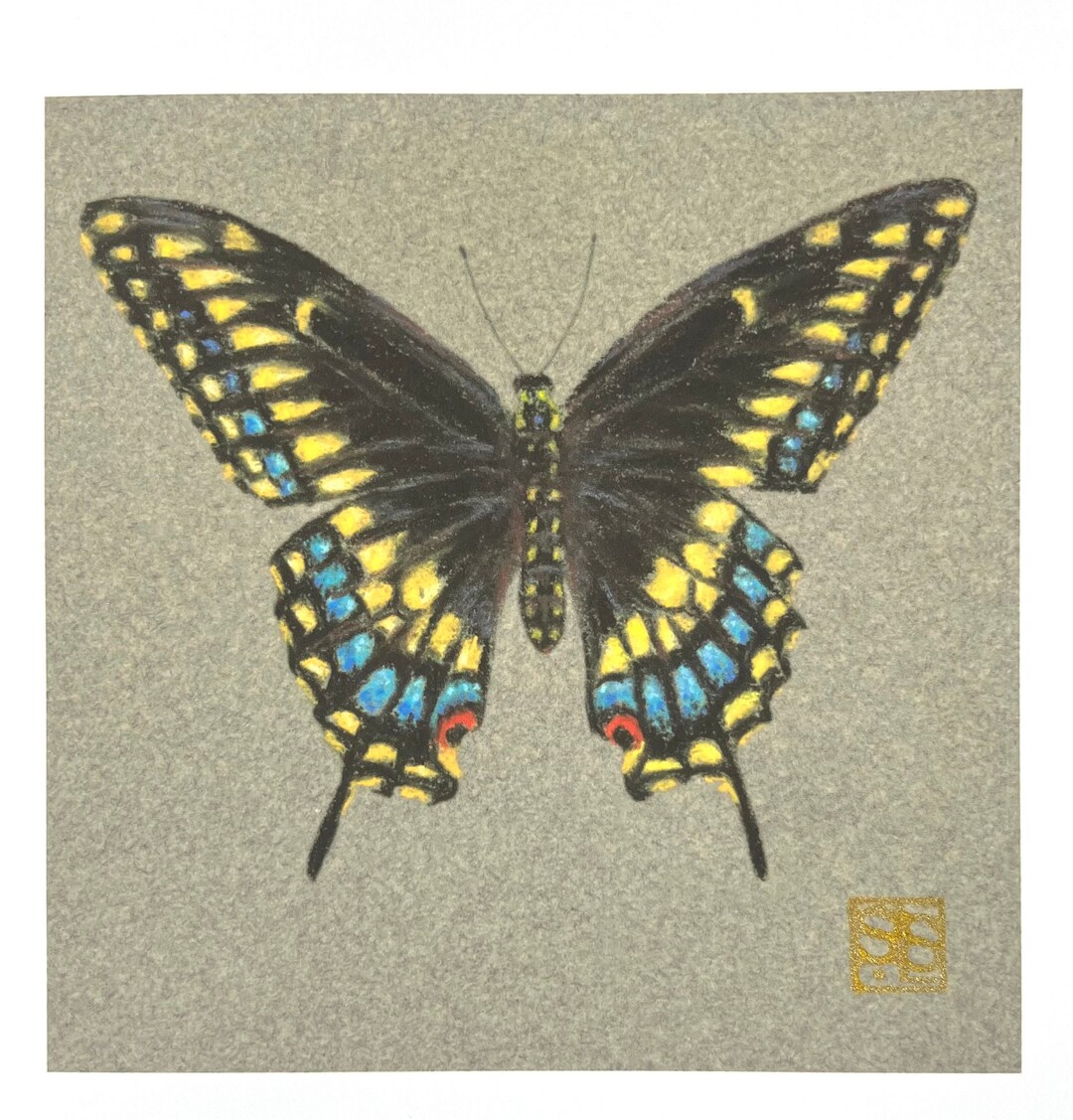 Black Swallowtail Butterfly Art, Mother's Day Gift, Butterfly Print ...