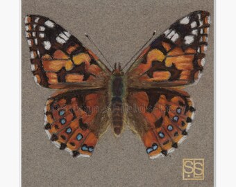 Black Swallowtail Butterfly Art Mother's Day Gift | Etsy