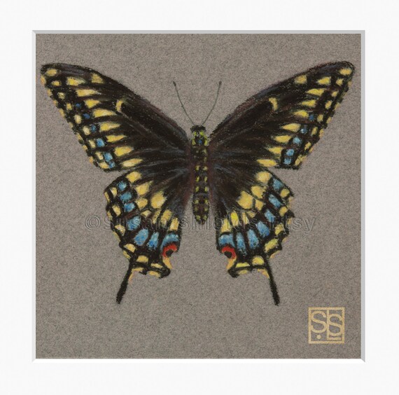 Black Swallowtail Butterfly Art Mother's Day Gift | Etsy