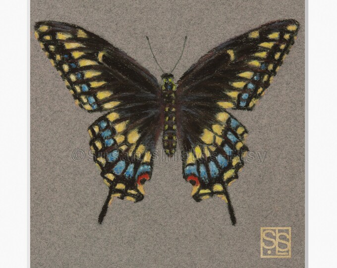Black Swallowtail Butterfly Art Mother's Day Gift - Etsy