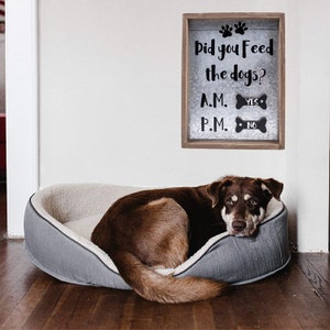 Wall Art Gift Wood Signhome Decor Pet Box Sign - Etsy