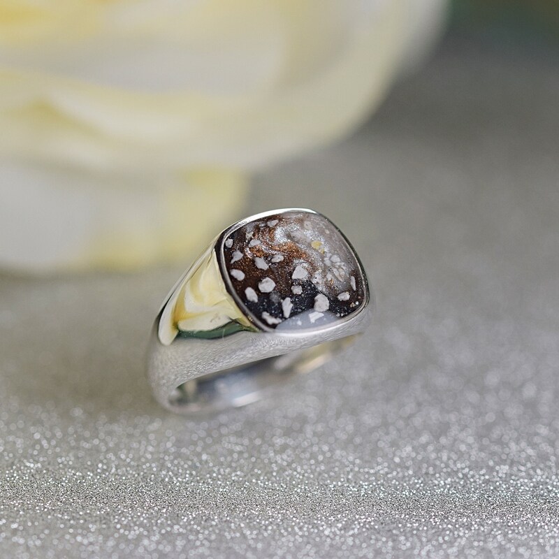 Cremation Ring for Men - Etsy