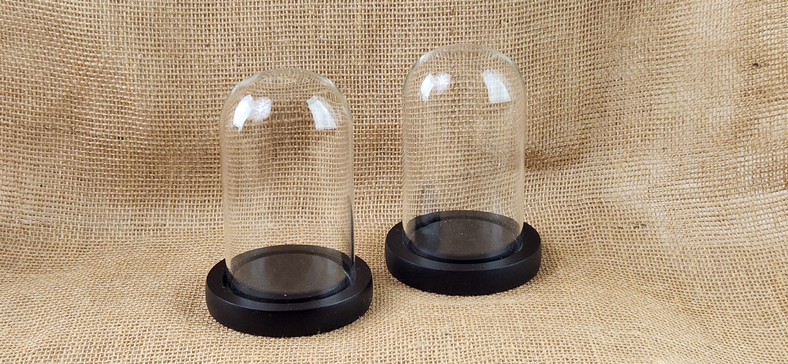 Set of TWO: Glass Domes / Cloche With Black Bases wood 7cm - Etsy