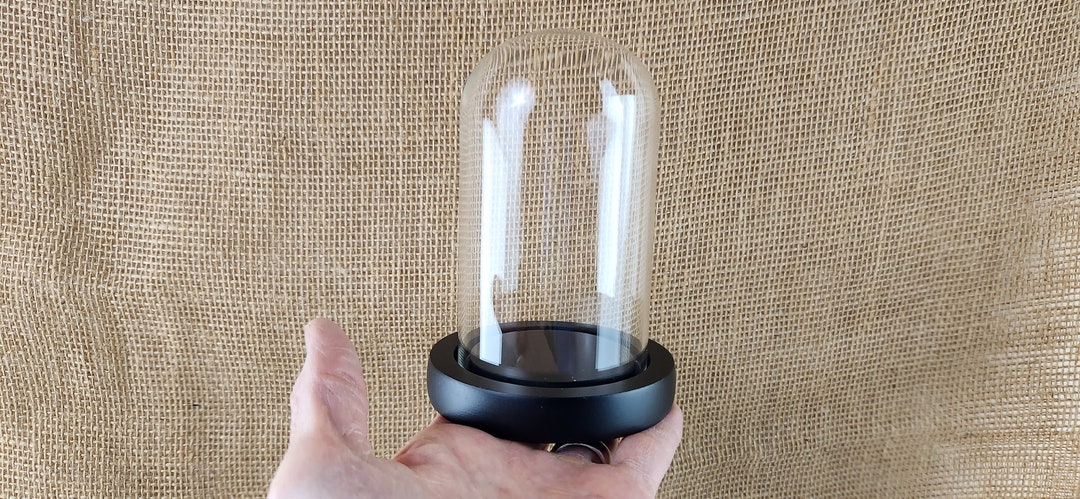 2 Glass Display Domes With Black Base (set) - Etsy