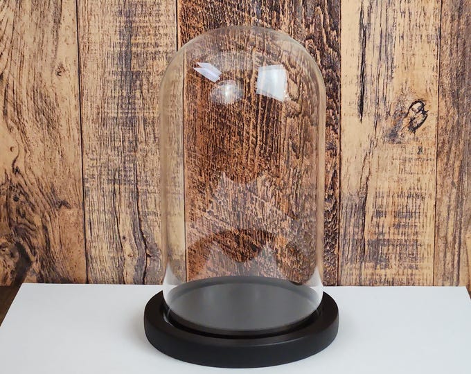 Cloche Decorative Display - Etsy