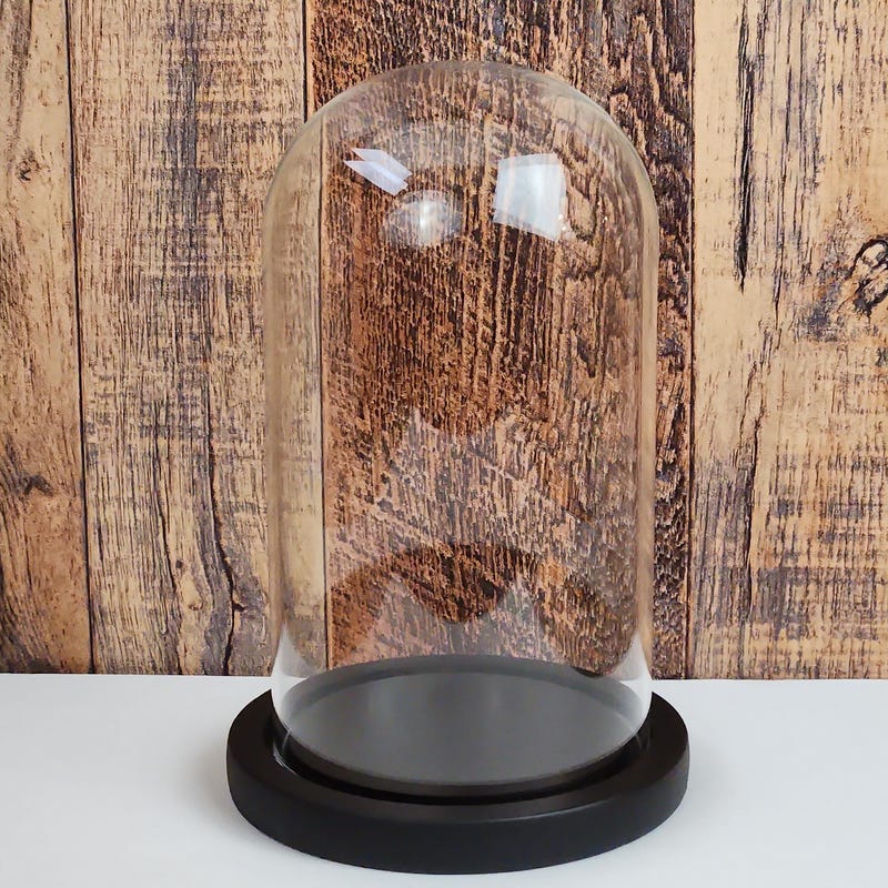 Specimen Display Domes - Etsy