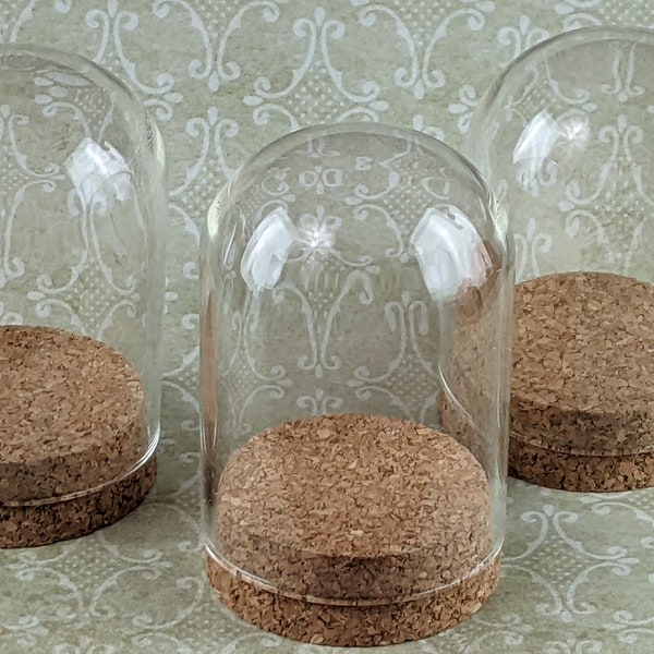 Glass Dome - Etsy