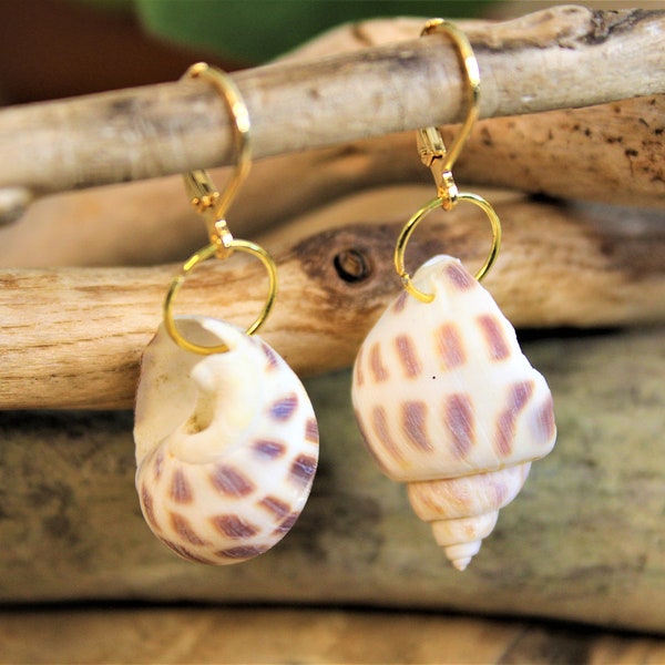 Sea Shell Earrings - Etsy UK
