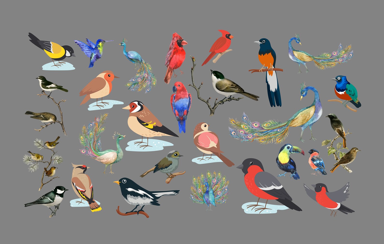 31 Birds Clipart, SVG File, Watercolor Peacock, Painted Birds, Colorful ...