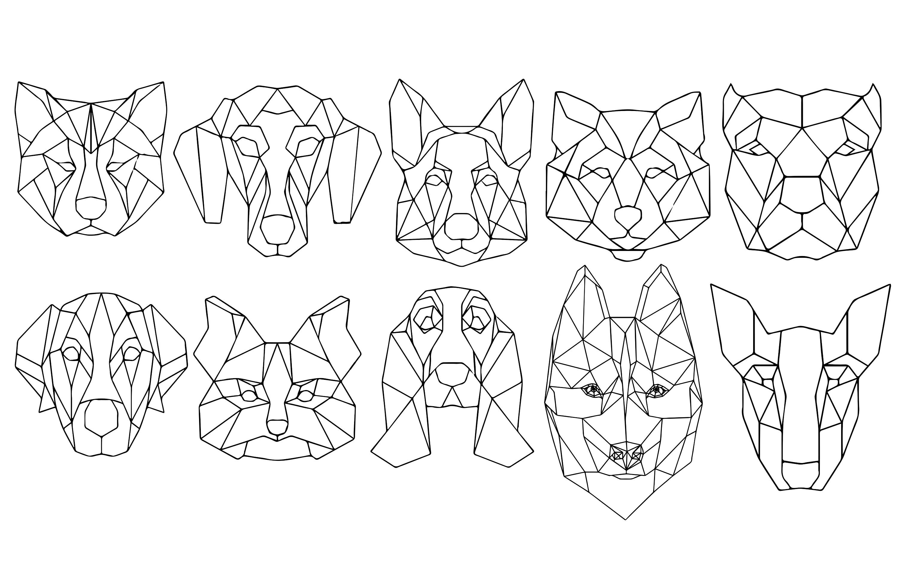 Geometric Dog Face