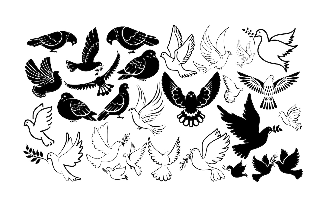 28 Pigeon Designs, SVG, EPS, Adobe Illustrator Editable Files, Pigeon ...