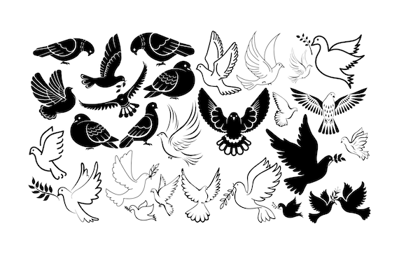 28 Pigeon Designs SVG EPS Adobe Illustrator Editable Files | Etsy
