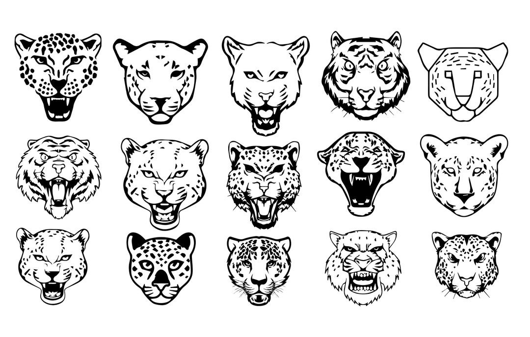 Leopard Illustration, Leopard SVG Clipart, 15 Leopards Editable File ...