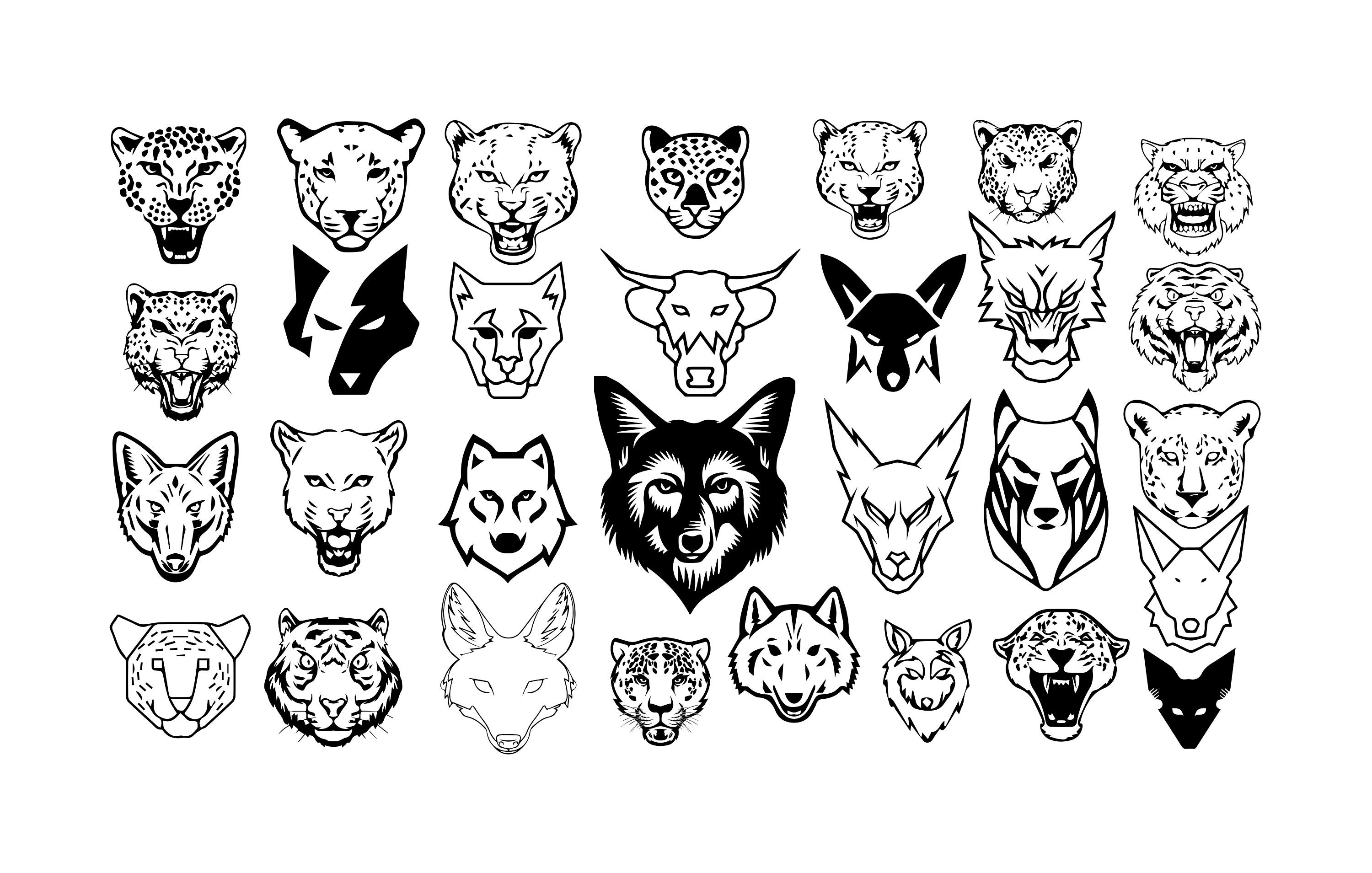 Leoparden svg, Jackal svg, 30 leopard & jackal, jackal collection ...