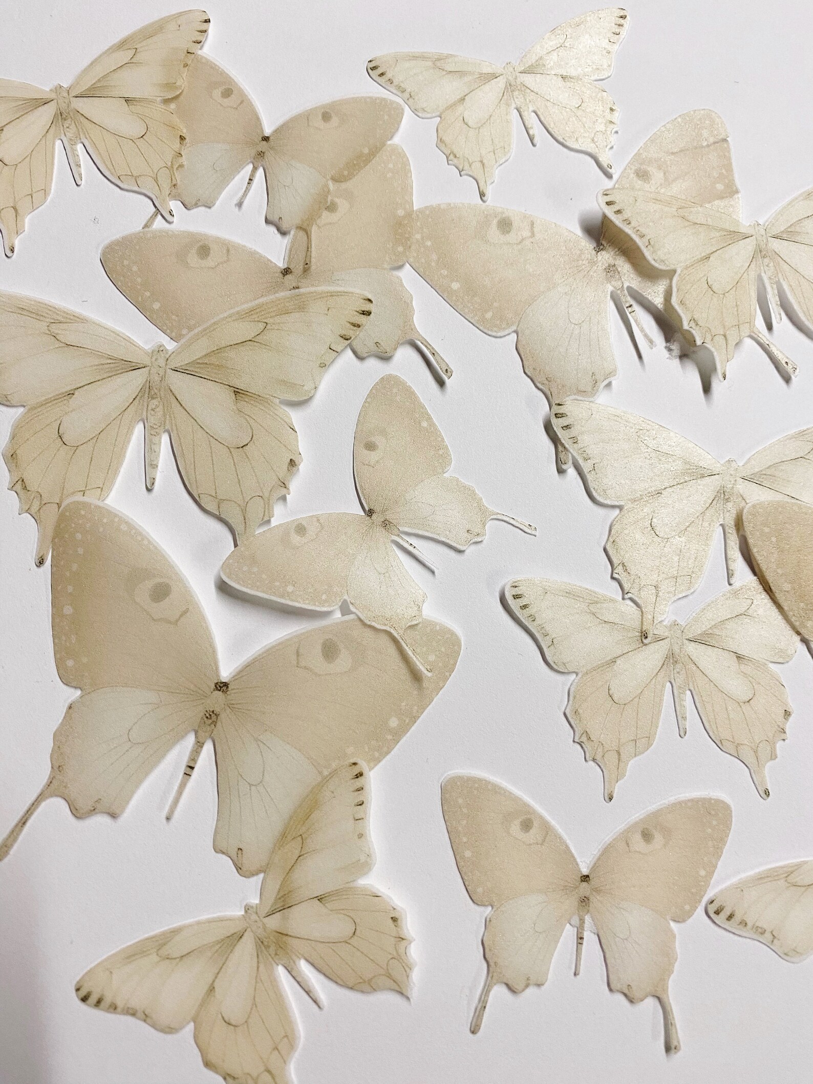 Pack of 18 Beige Wafer Paper Die Cut Butterflies, Edible Butterflies ...