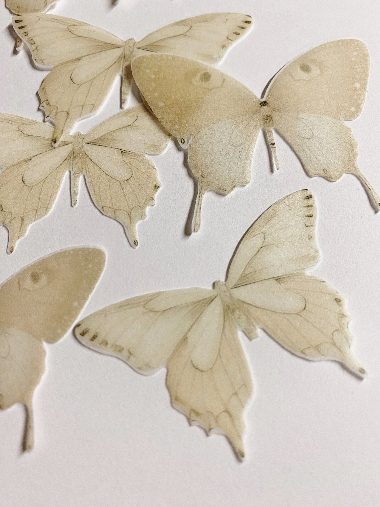 Pack of 18 Beige Wafer Paper Die Cut Butterflies, Edible Butterflies ...