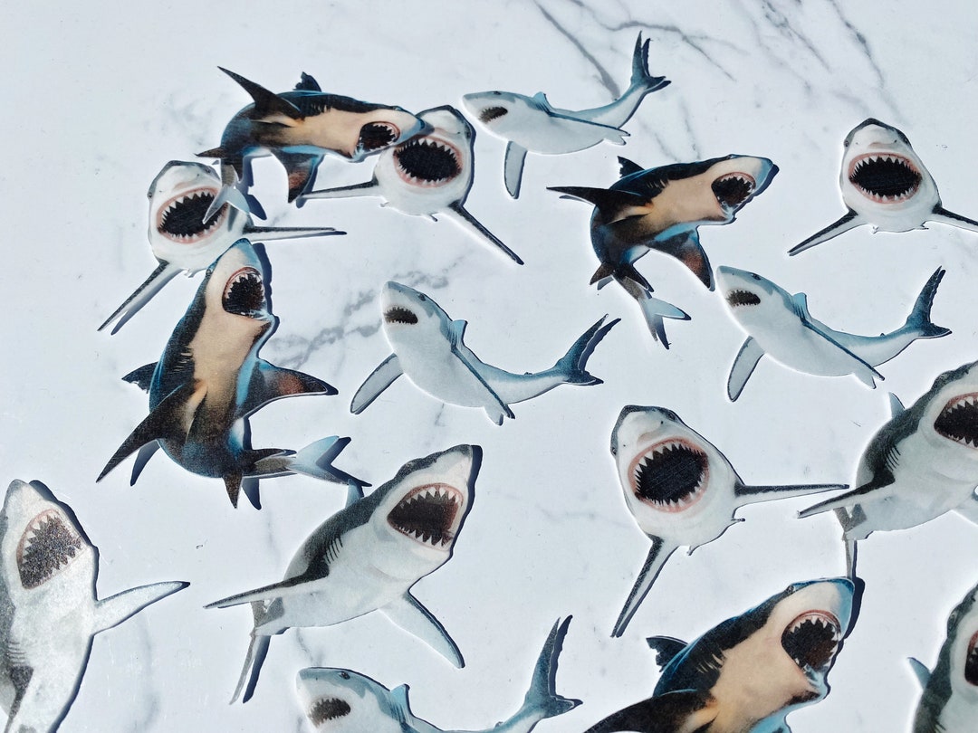 Pack of 16 Die Cut Wafer Sharks, Edible Shark Toppers, Shark Toppers ...