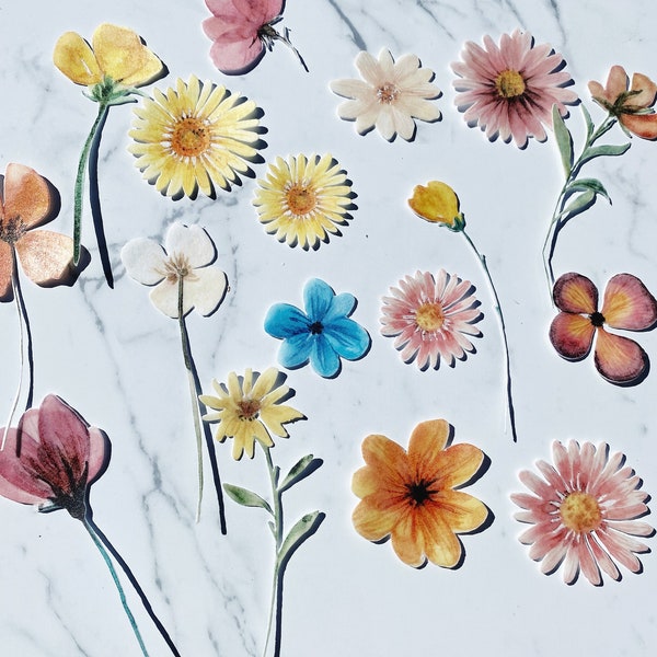 Wafer Paper - Etsy