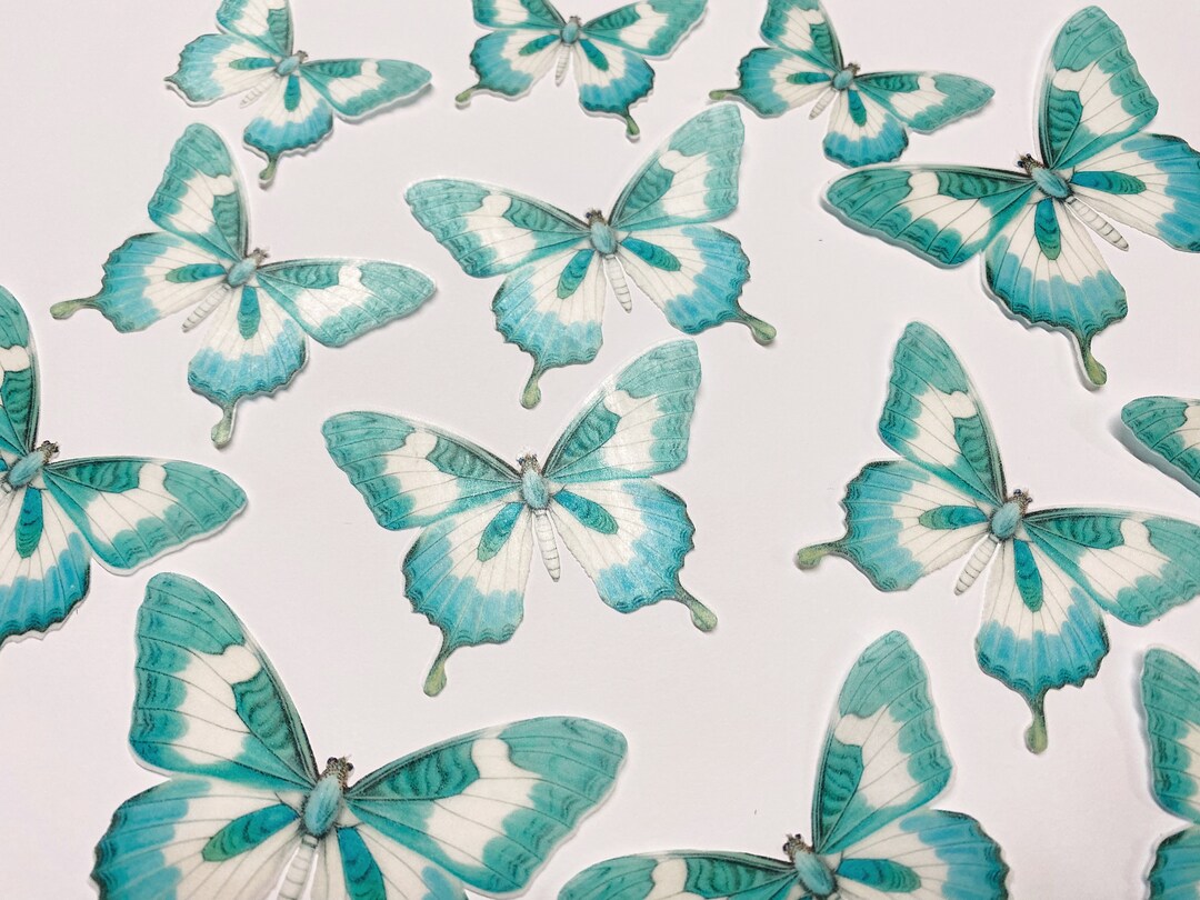 Pack of 19 Edible Wafer Paper Die Cut Green and Cream Butterflies - Etsy