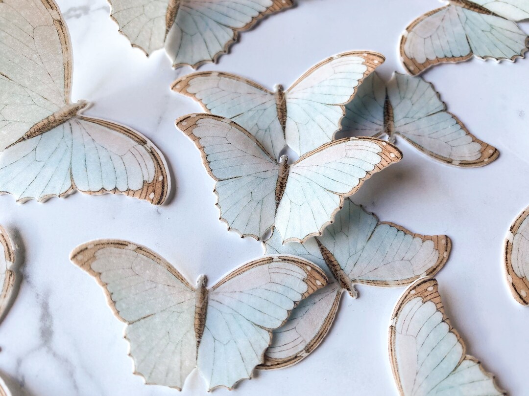 Pack of 23 Antique Blue Wafer Paper Die Cut Butterflies - Etsy