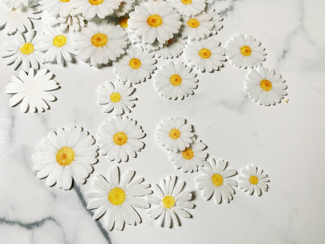 Pack of 45 Assorted Wafer Die Cut Daisies - Etsy