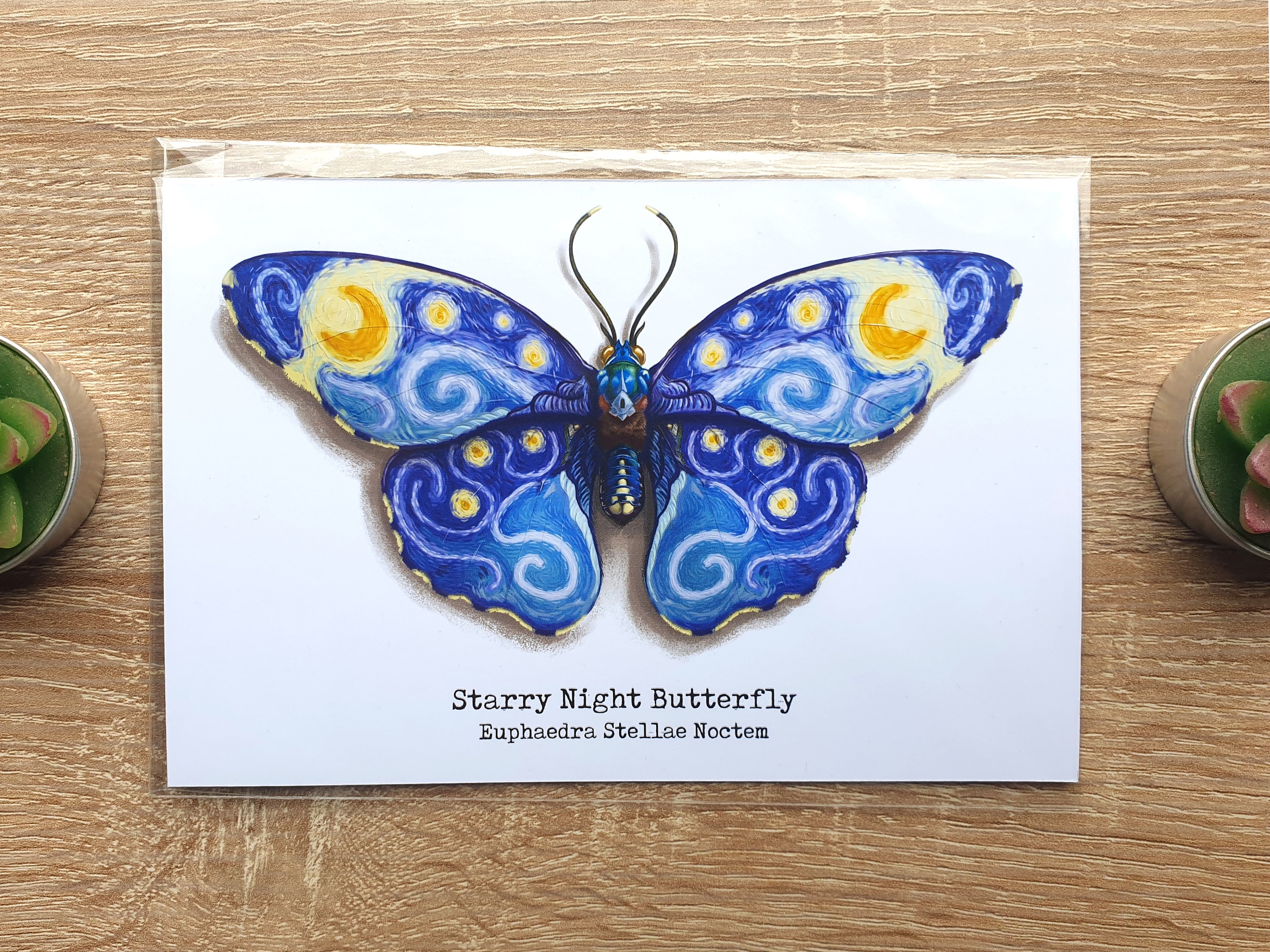 Van Gogh Starry Night Butterfly Painting 6x8 in 10x8 Mount - Etsy UK