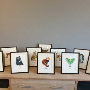 Edvard Munch's the Scream Hawkmoth Painting Print 6x8 | Framed ...