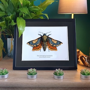 Edvard Munch's the Scream Hawkmoth Painting Print 6x8 | Framed ...