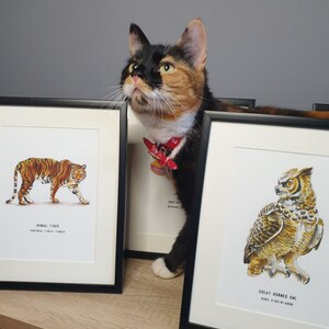 Edvard Munch's the Scream Hawkmoth Painting Print 6x8 | Framed ...