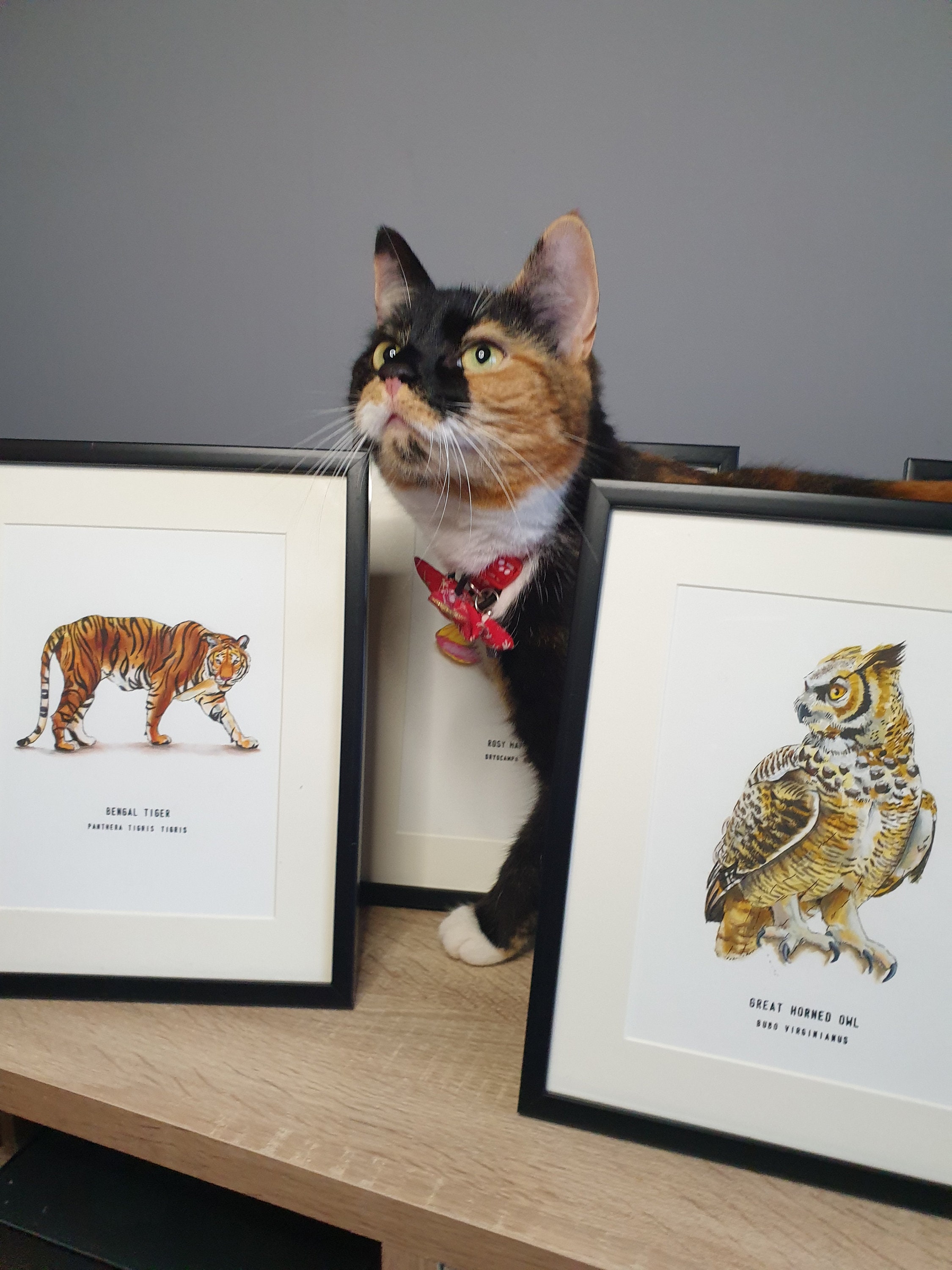 Edvard Munch's the Scream Hawkmoth Painting Print 6x8 | Framed ...
