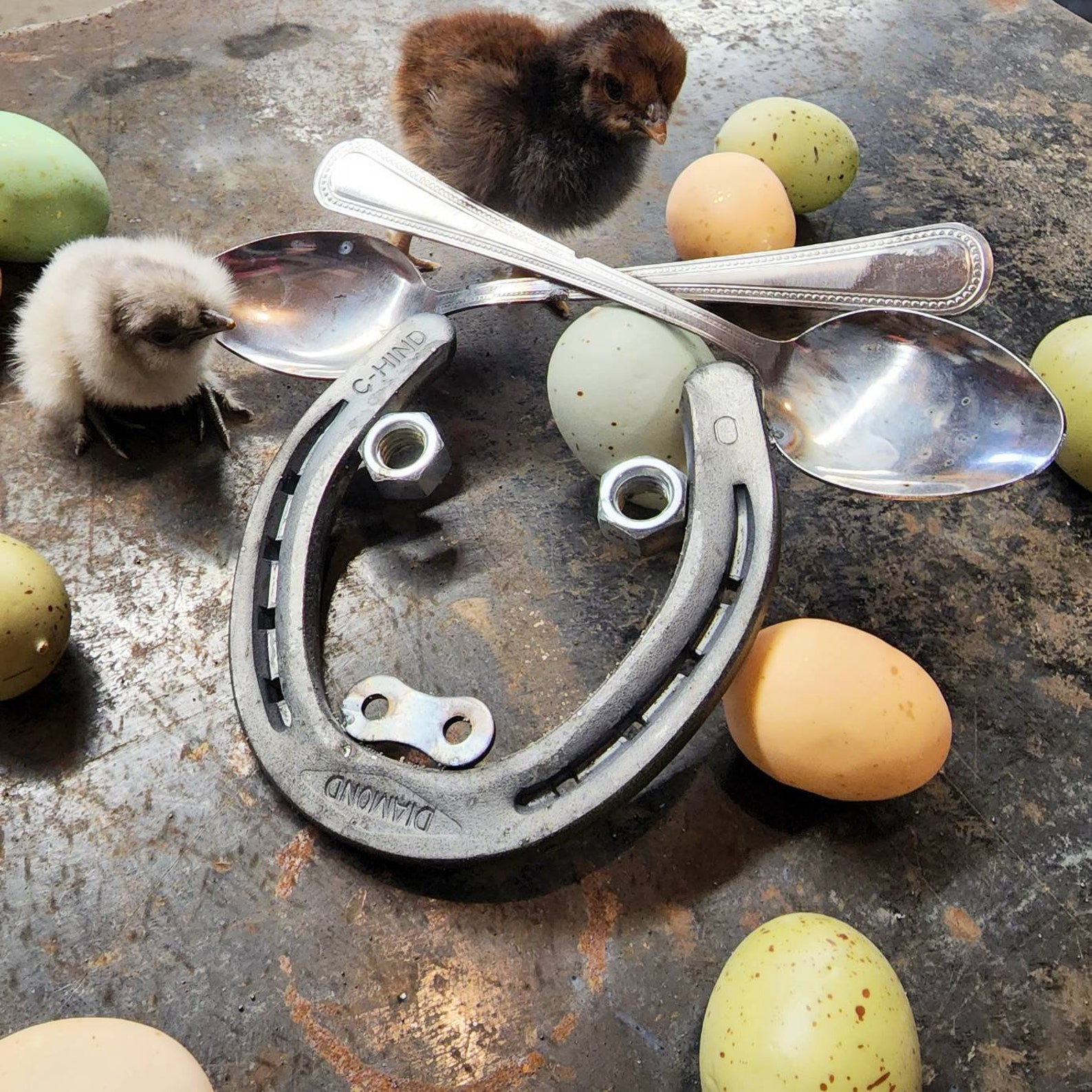 Horseshoe Cow Wall Decor - Etsy