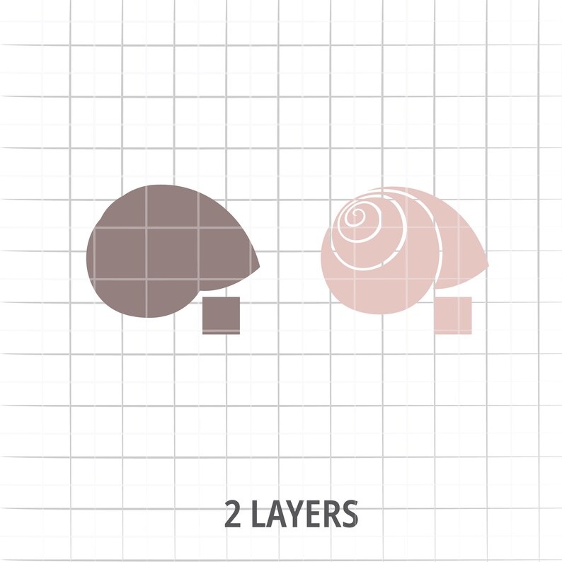 Seashells Svg Bundle Sea Shell Svg File for Cricut Beach Svg - Etsy