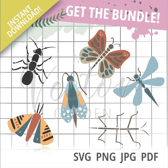 Insectos Svg Bundle Bugs Svg File Bug Wall Calcomanías | Etsy México
