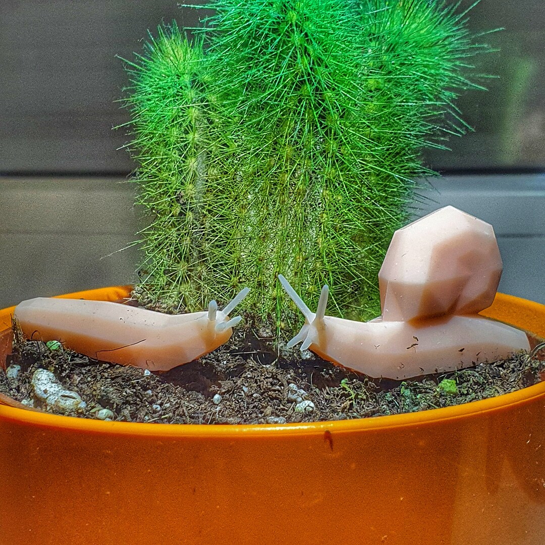 STL. File SNAILS BROS Trophy 3D Printing Insect - Etsy