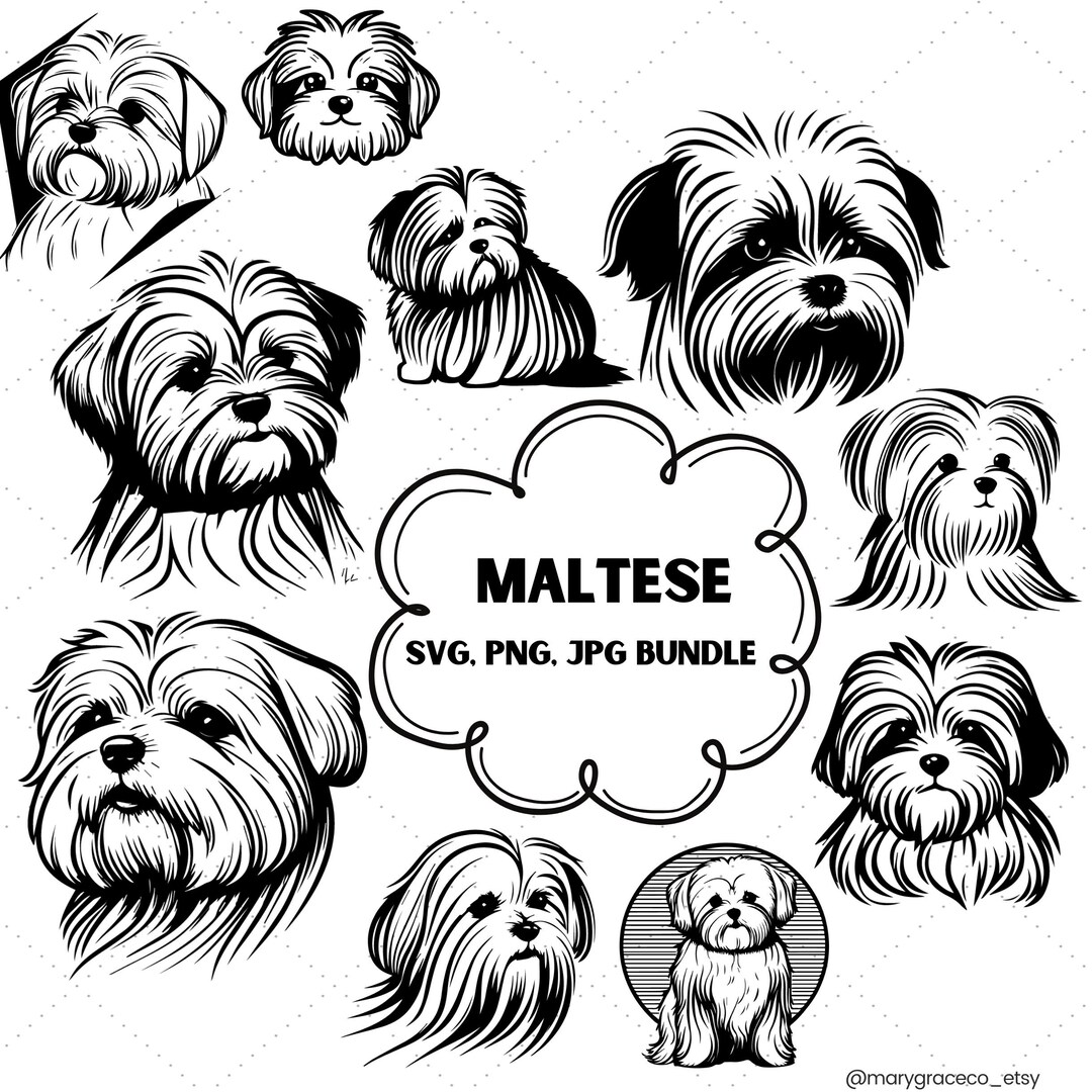 Malteser Dog Bundle Dateien SVG, PNG, JPG Sofortiger digitaler Download ...