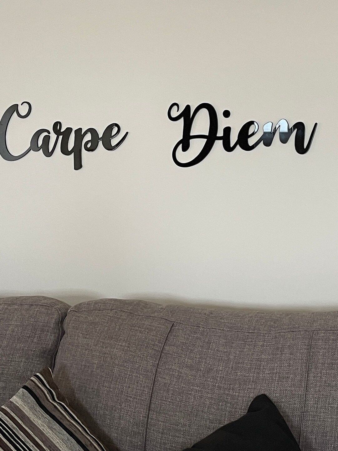 Carpe Diem,seize the Day,latin Words,acrylic Wall Art, Acrylic Words - Etsy