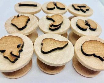 Human Body Stamps - Etsy