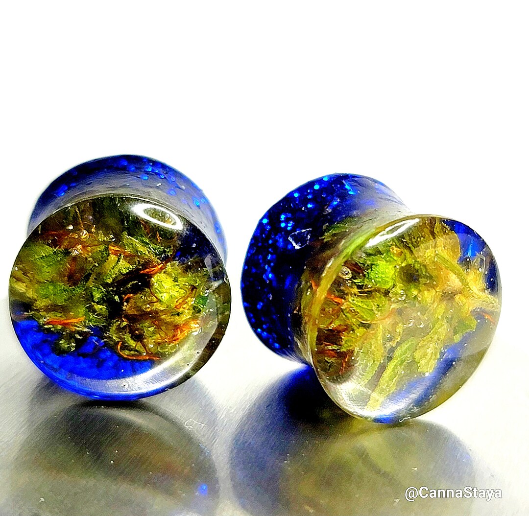 Royal Blue Plugs, Bright Blue Gauges, UV Glow Blue, Double Flare Gauges ...