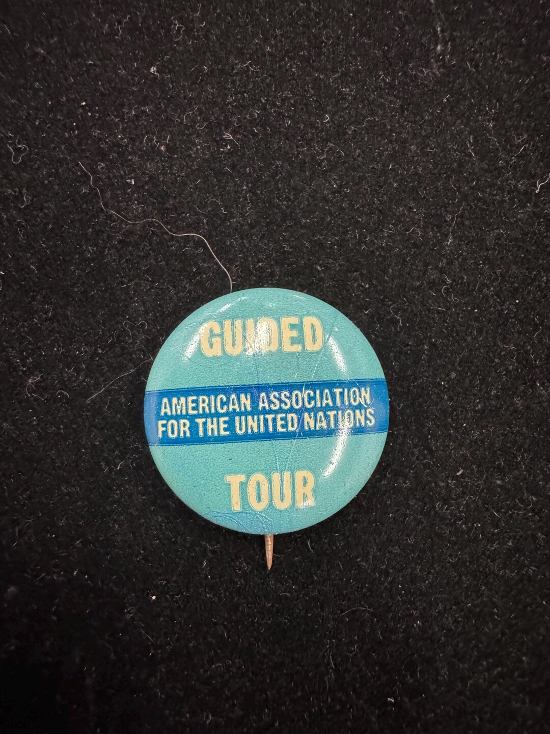 Vintage American Association for the United Nations Guided Tour Pin - Etsy