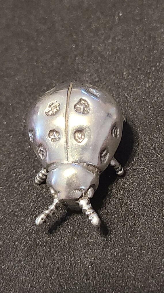 sterling silver ladybug - Gem