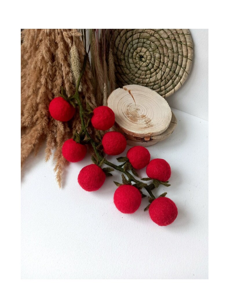 Felt Vegetable Felt Tomatoes Cherry Felt Toy Kitchen Decor Table Decor ...
